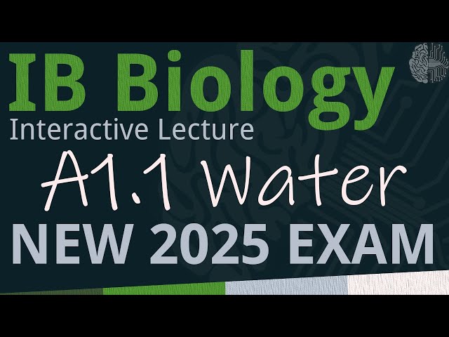 Ib Biologychemistry Ib Biology On Microbes And Bacteria