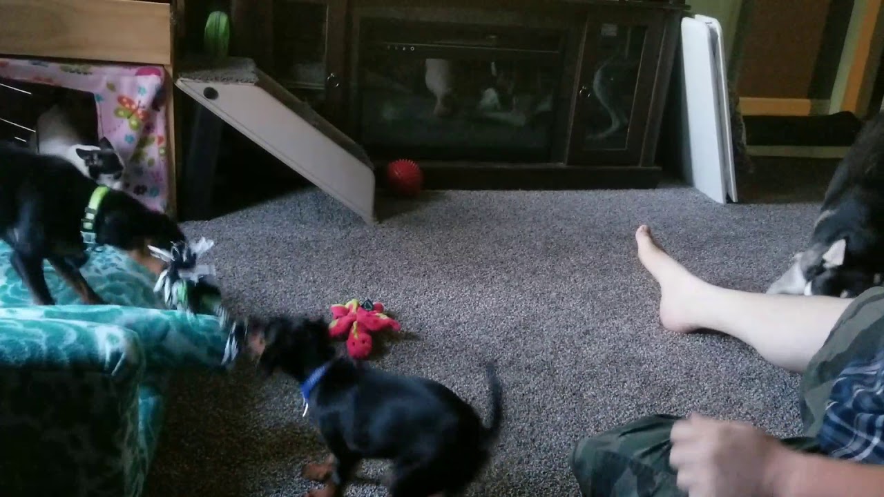 Min pins playing - YouTube