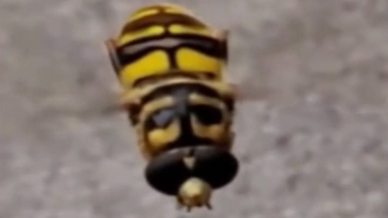 Bee Spy Drone | 👽ATA BOY - alien channel 2.0 - YouTube