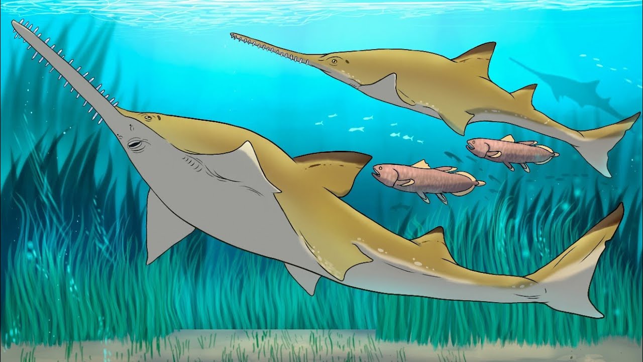 Onchopristis • El Pez Sierra Gigante • PaleoPedias - YouTube