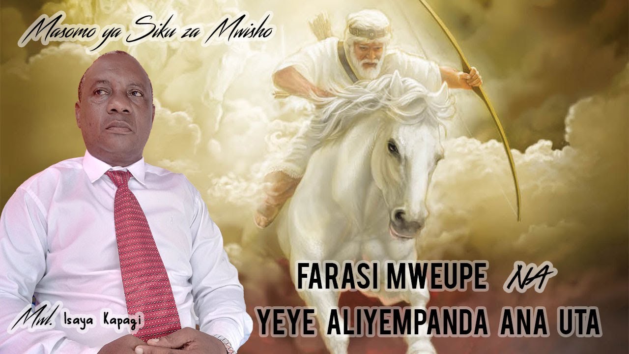 FARASI MWEUPE YEYE ALIYEMPANDA ANA UTA - YouTube