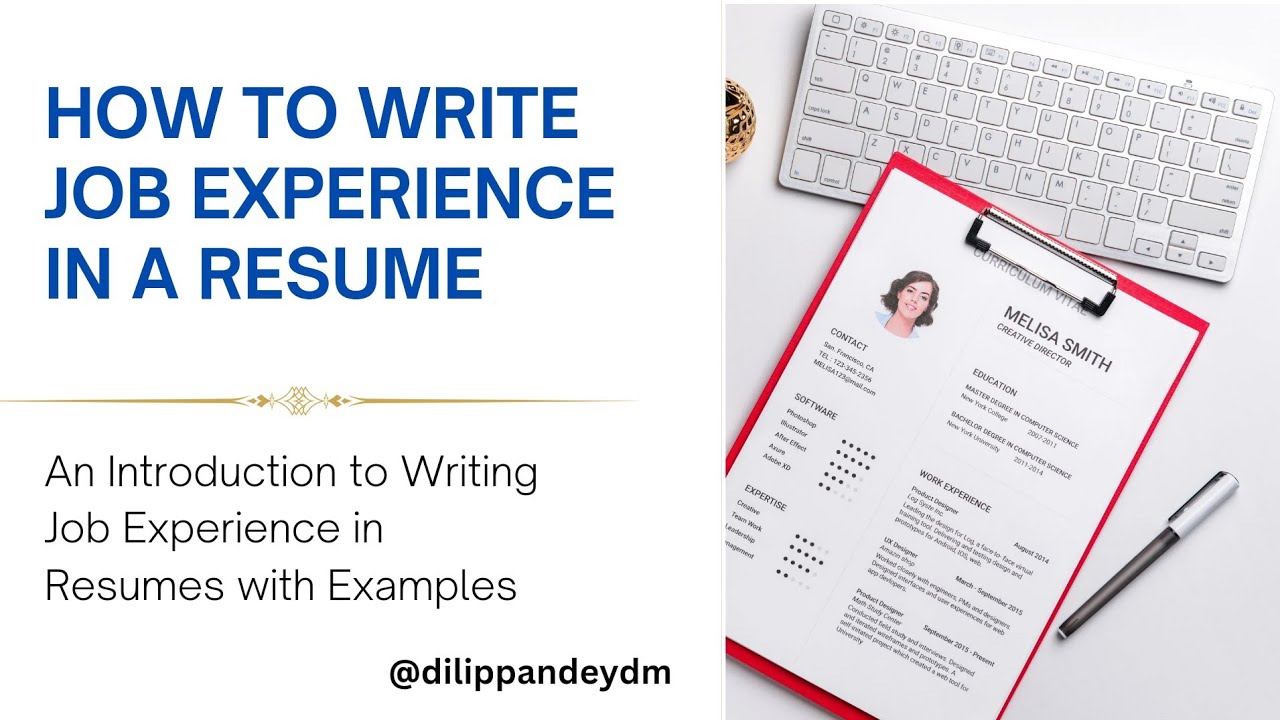 How to write job experience in resume|| resume main work experience ...