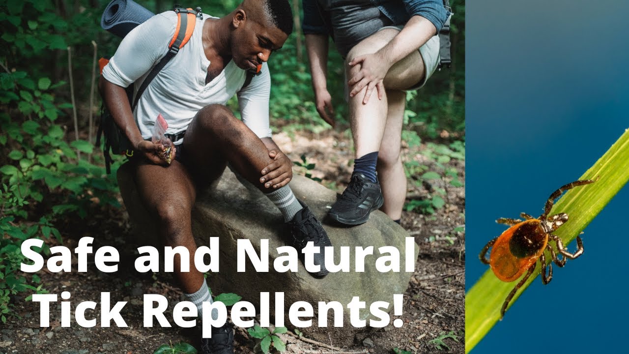 Safe and Natural Ways to Repel Ticks - YouTube
