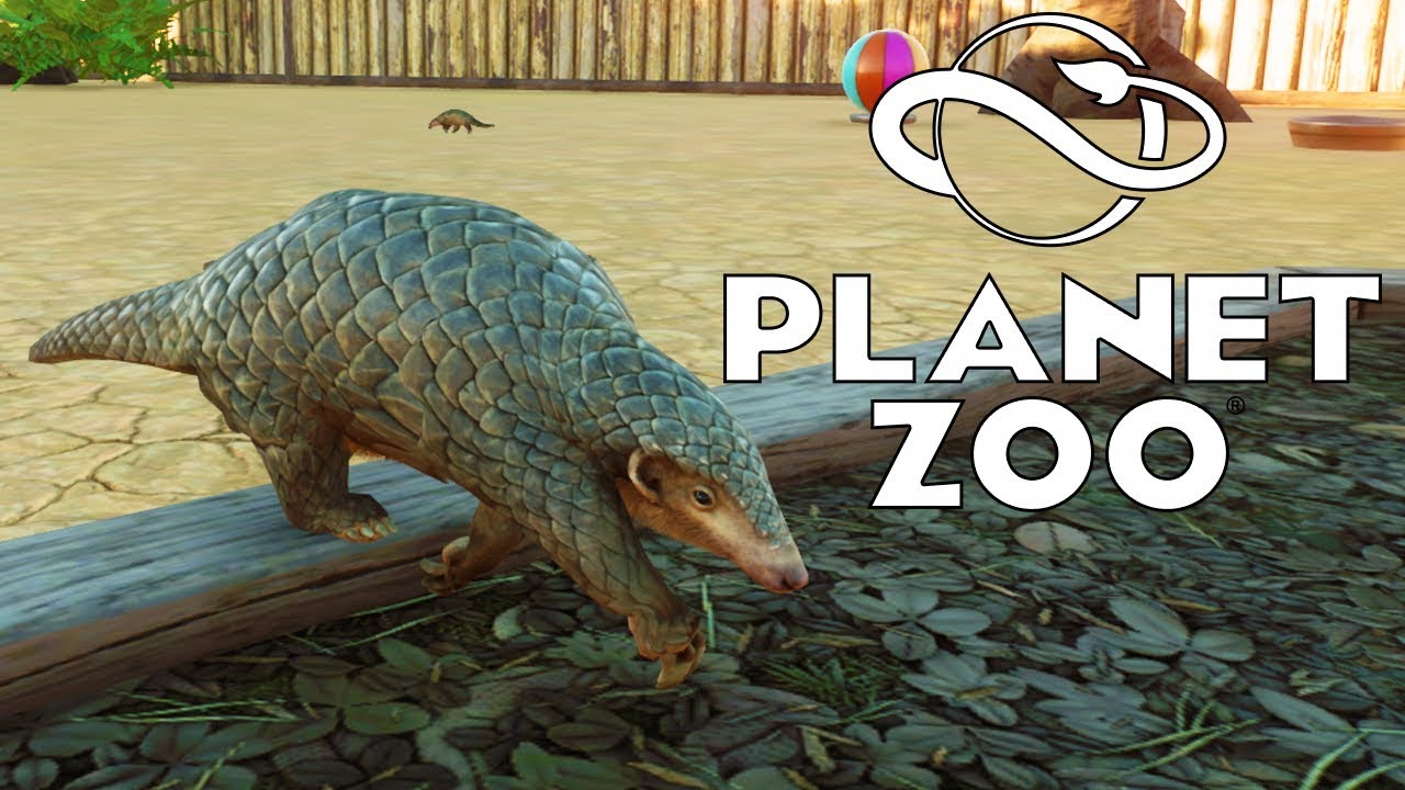 Pangolin Perfection! - Planet Zoo (Franchise) - Part 2 - YouTube