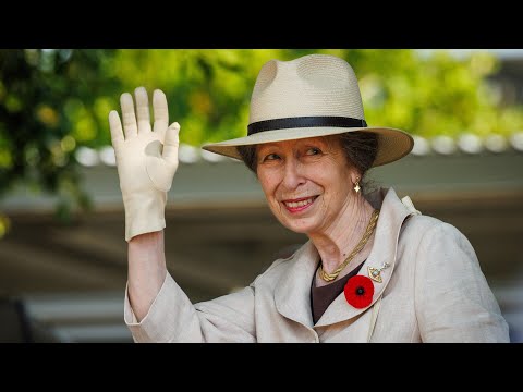 Princess Anne praised for displaying ‘royal resilience’ amid Andrew controversy