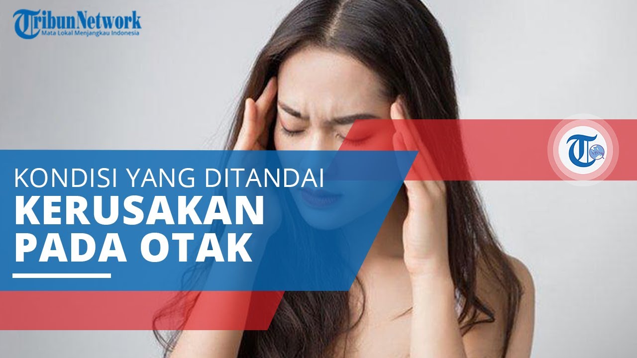 Sapi Gila, Kondisi yang Ditandai dengan Adanya Kerusakan pada Otak ...