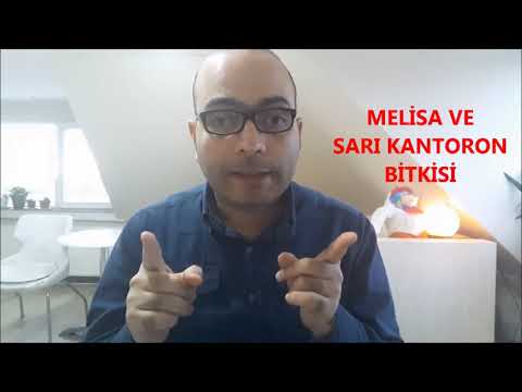 ERKEN BOŞ / ALMAYA BİTKİSEL ÇÖZÜMLER /13 BİTKİSEL DOĞAL ÖNERİ NELERDİR?