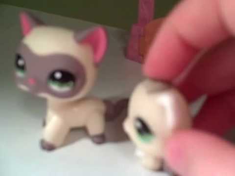 LPS CSI: And the Kidnapping Ep. 2 - YouTube