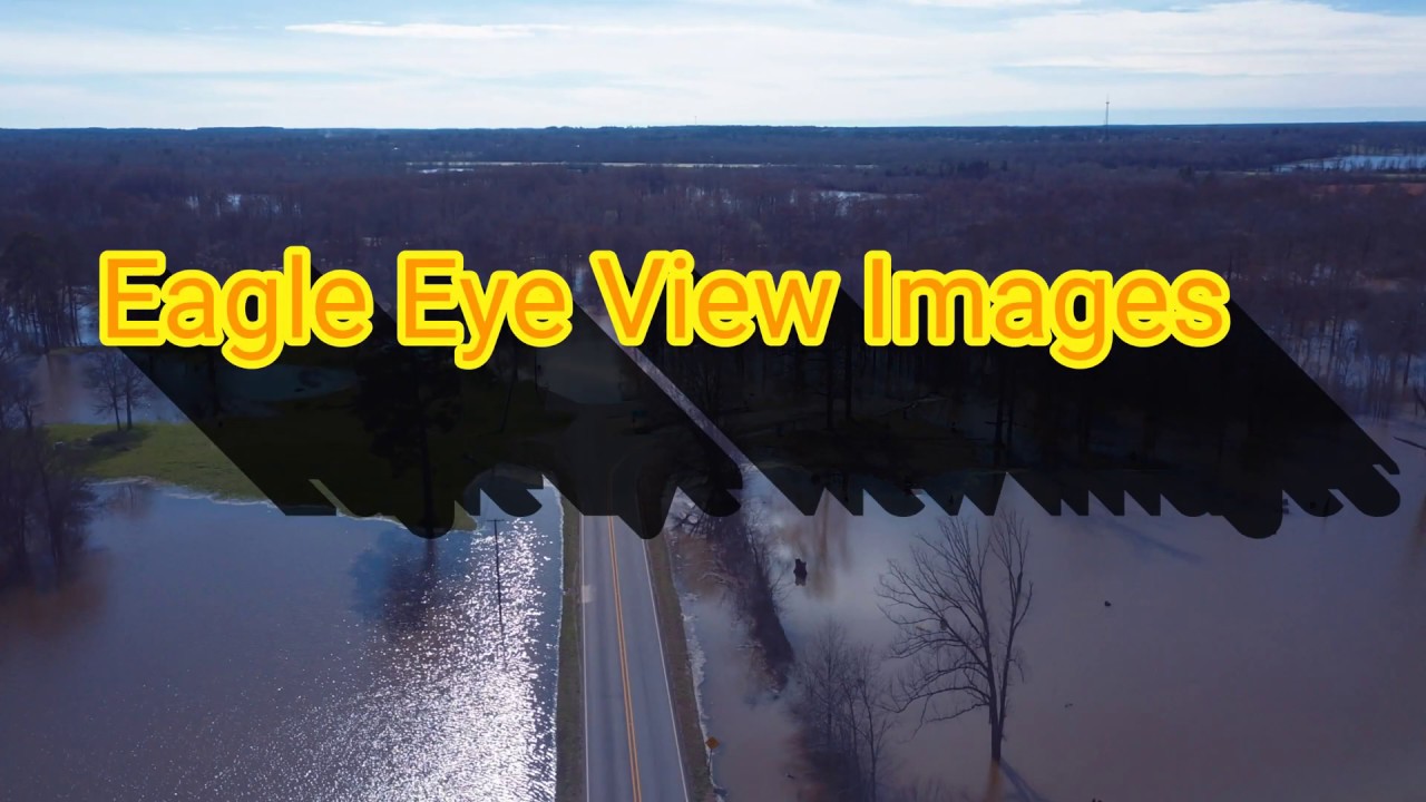 2020 Wallace Lake Flood - YouTube