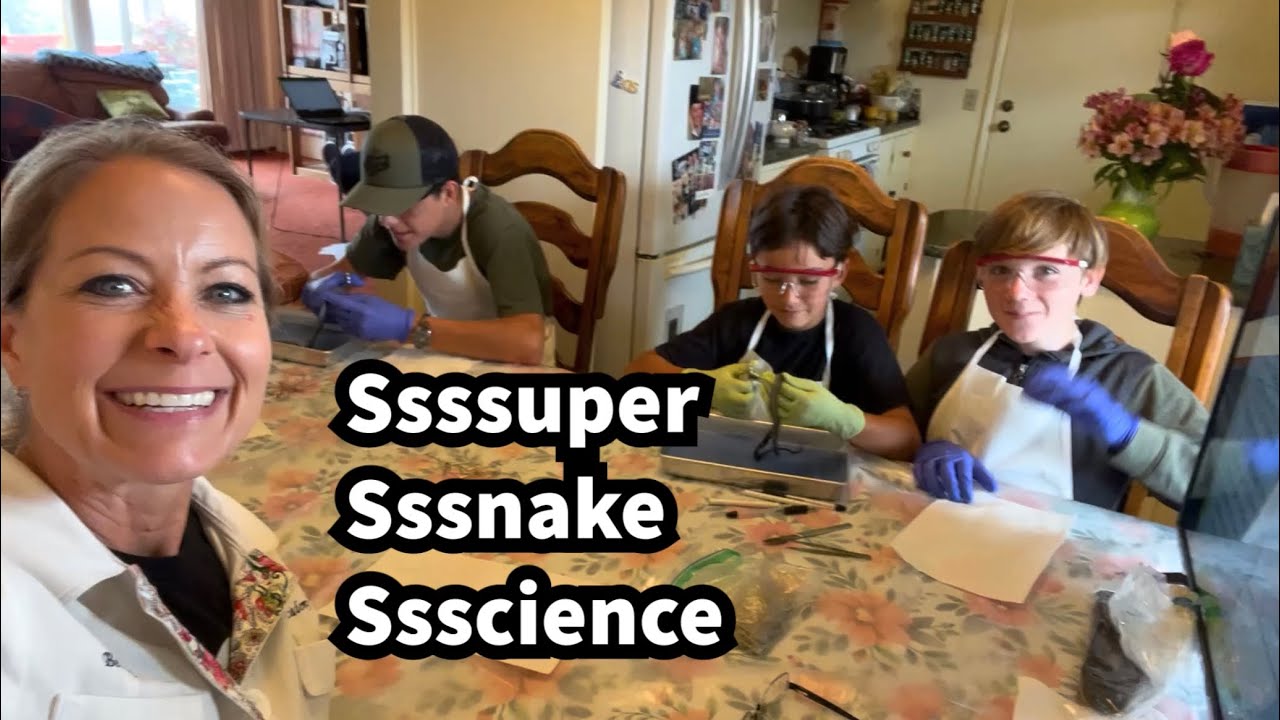 383 - How do you dissect a Garter Snake? - YouTube