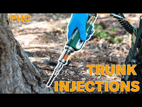 Plant Health Care - Trunk Injections - YouTube