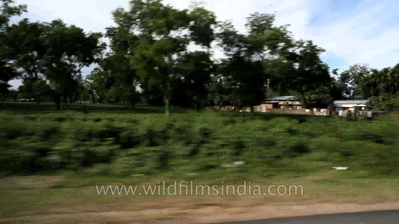 Assam countryside enroute Arunachal border town of Kimin - YouTube