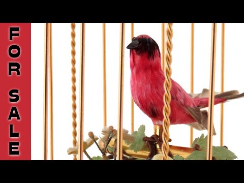 Automata for sale depicting singing birds including this Reuge cage ...