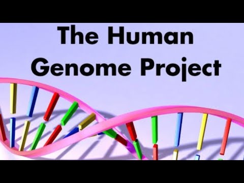 Human genome project Class 12/Neet - YouTube