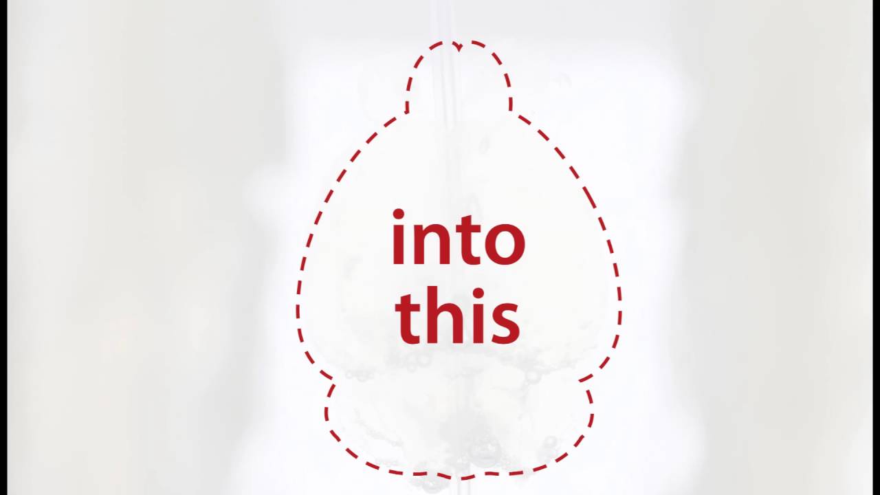 Time lapse mouse brain clearing using the X CLARITY™ Tissue Clearing ...