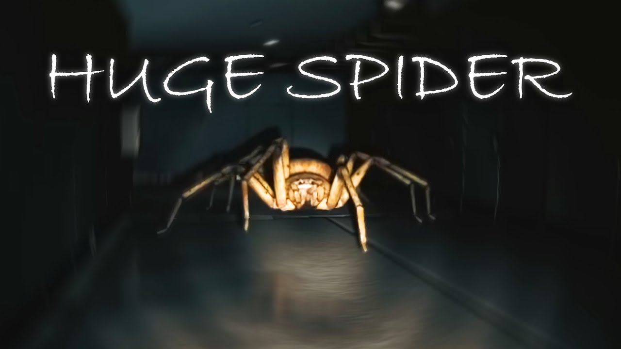 HUNTING SPIDERS - YouTube