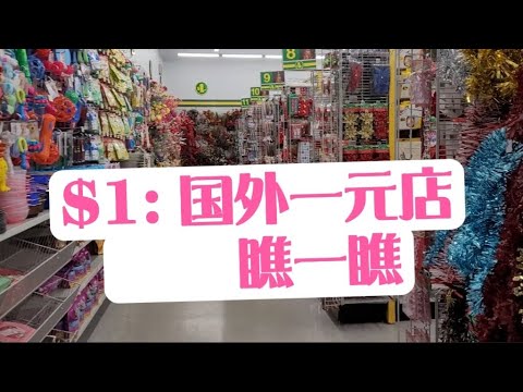 国外一元店来瞧一瞧! Dolar store in north America! #海外华人 #海外生活 #猪猪老公 #猫猫老婆 - YouTube