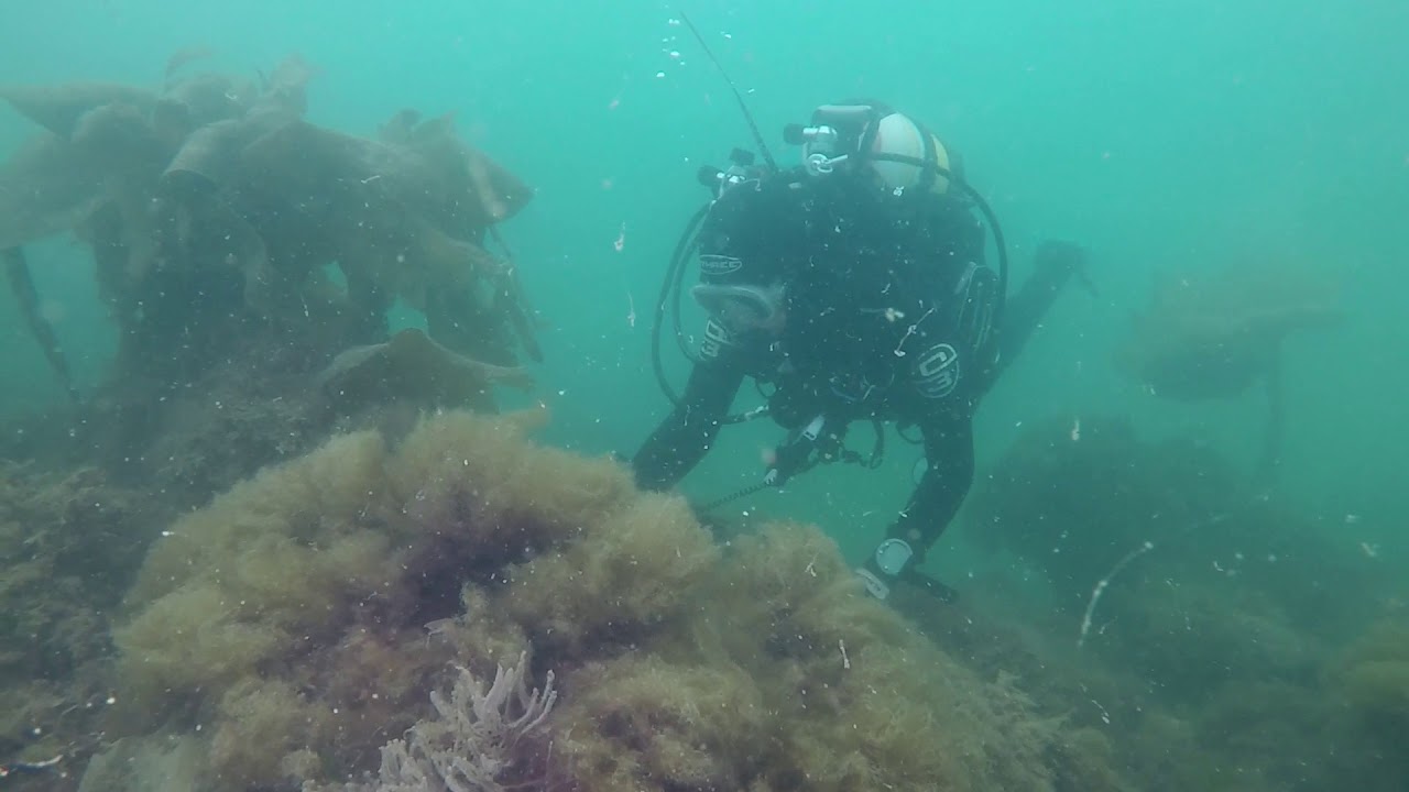 Diving Brixham Breakwater - YouTube
