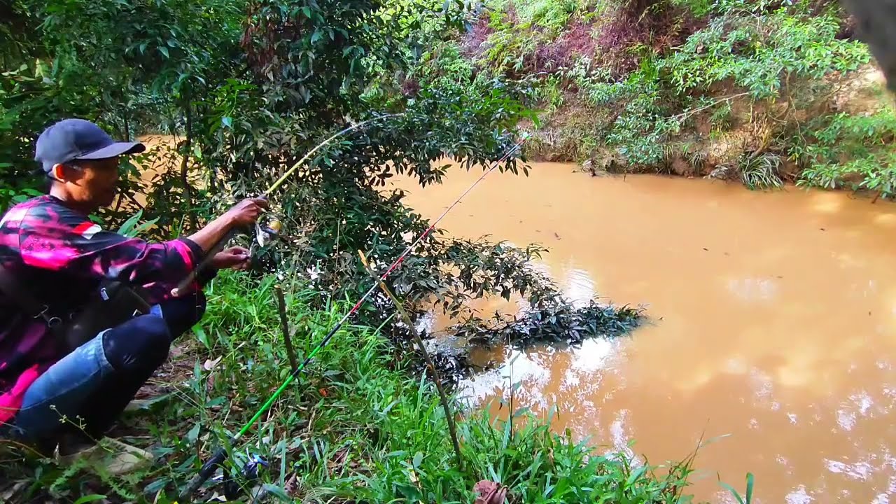 BEGINILAH JADINYA JIKA SUNGAI KECIL INI JARANG DI JAMAH PEMANCING ...