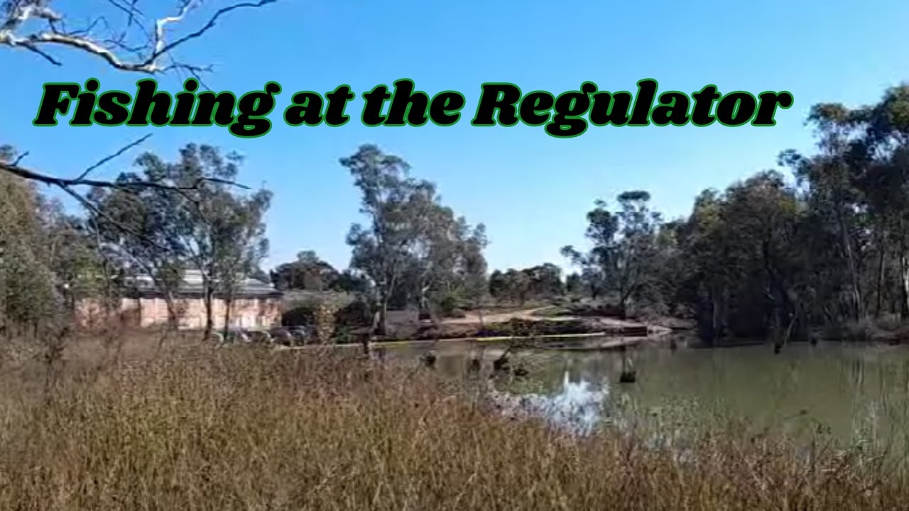 Fishing at the Regulator | Murray River Fishing - YouTube
