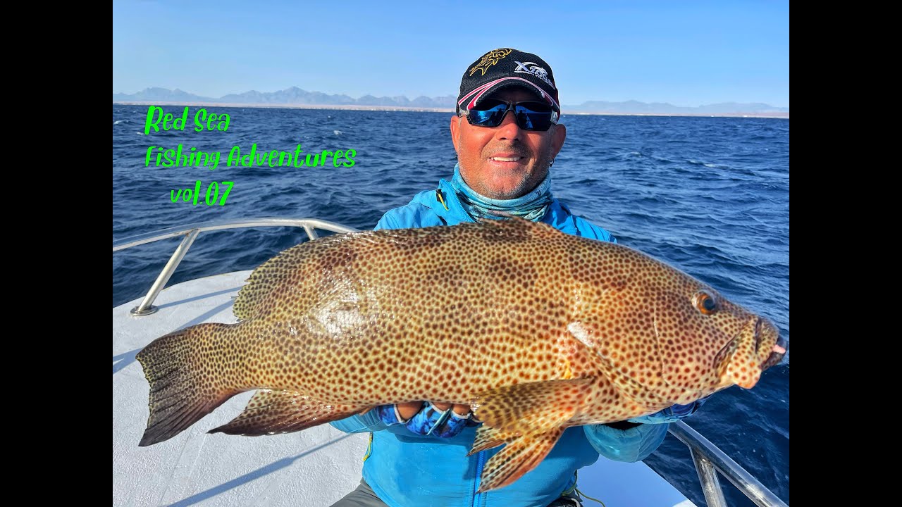 Red Sea Fishing Adventures 007 - YouTube