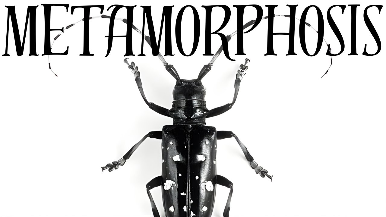 The Metamorphosis by Franz Kafka Full Audiobook | Read By The Fire ...