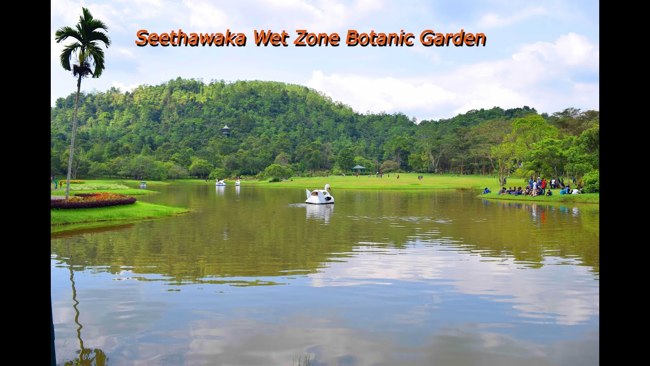 Seethawaka Wet Zone - YouTube