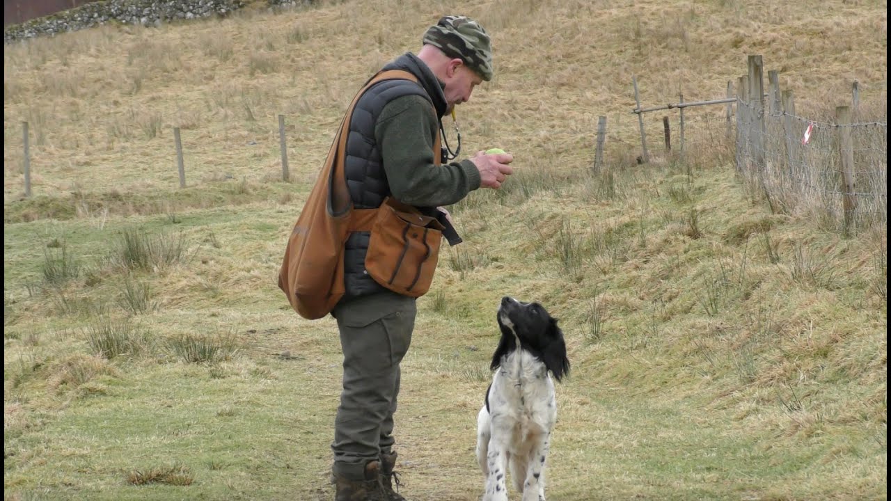 Introduction to the stop whistle - YouTube