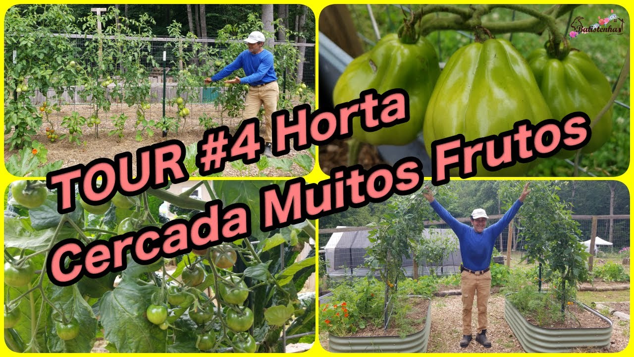 TOUR # 4 Horta Cercada Muitos Frutos / TOUR # 4 Fenced Vegetable Garden ...