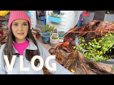 Furtuna in Los Angeles | Barfe despre celebritati de la Hollwyood - YouTube