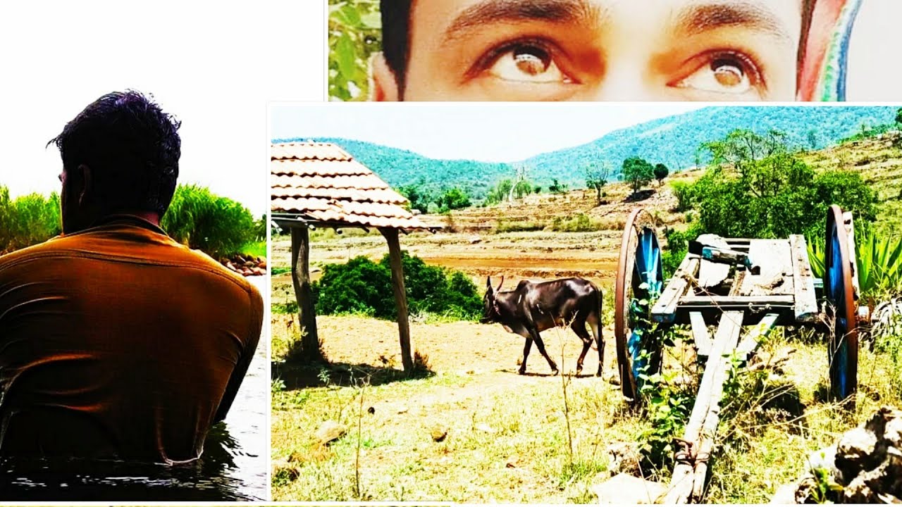 மலை மனிதருடன் ஓர் உரையாடல் | TRIBES LIFE STYLE IN TAMIL | TRIBES LIFE ...