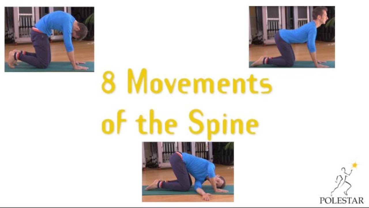 8 Movements of the Spine - YouTube