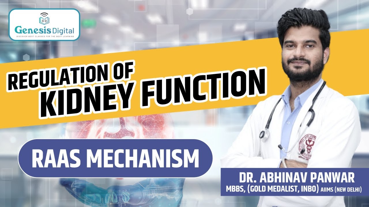 Regulation of Kidney Function - RAAS Mechanism | NEET 2023 | NEET ...