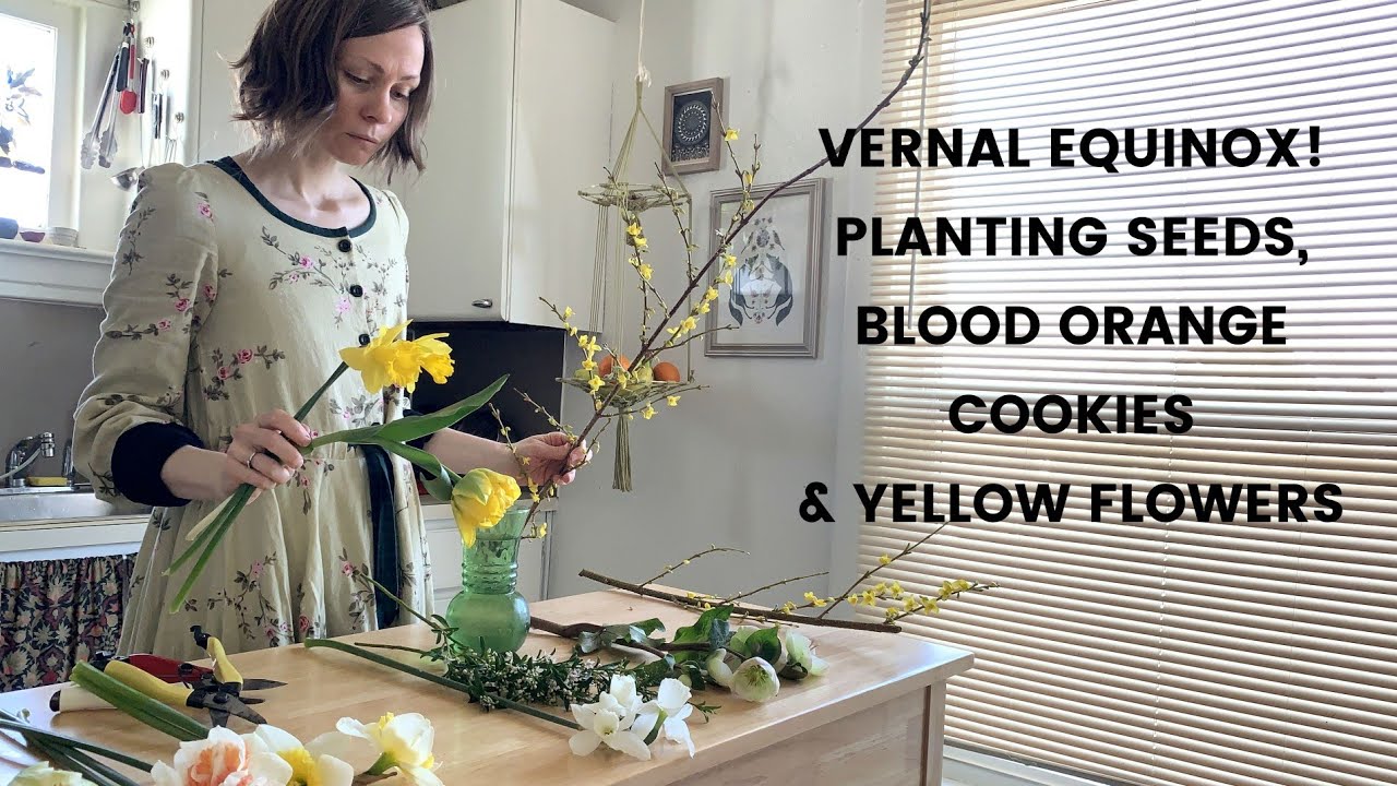 Spring Equinox! Blood Orange Cookies, Starting Seeds & Yellow Flowers ...