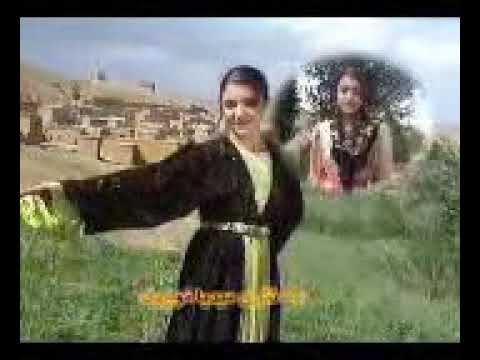 Melek rojhat