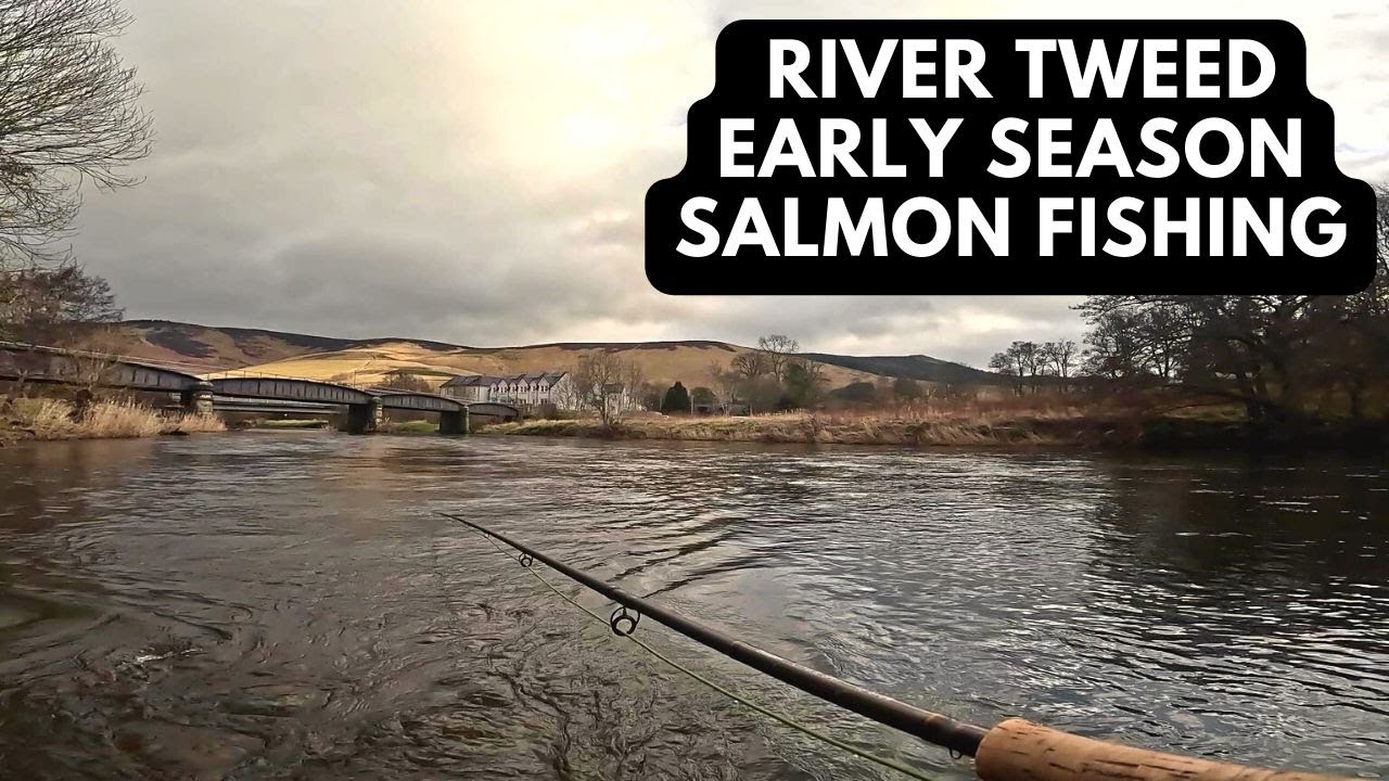 River Tweed Salmon Fishing Early Season 2024 - YouTube