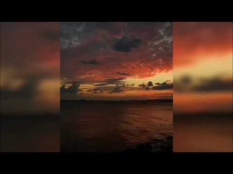 Özdemir ASAF - Hoşça kal