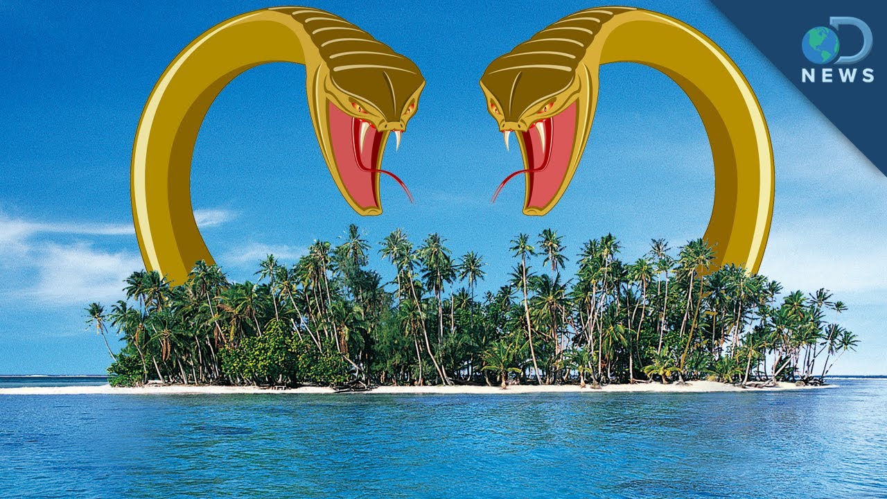 3 Islands Overrun By Crazy Animals - YouTube