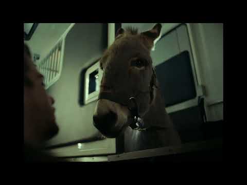 AI / EO | fragman | 13 Ocak'tan itibaren #BaşkaSinema'da!