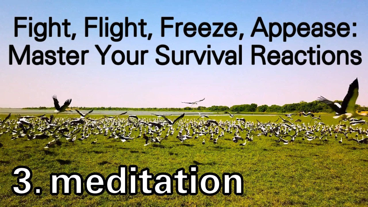 part3:meditation Fight, Flight, Freeze, Appease: Master Your Survival ...