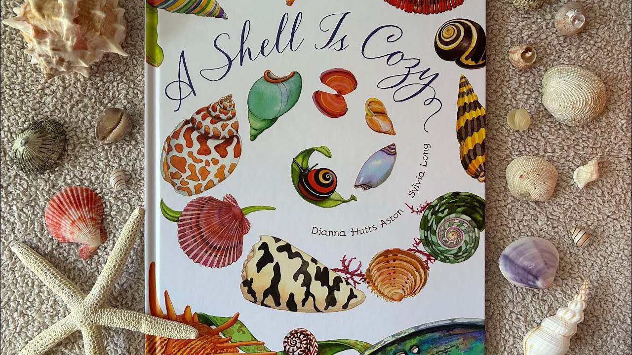 🐚A Shell is Cozy 🐚 read along for kids - YouTube