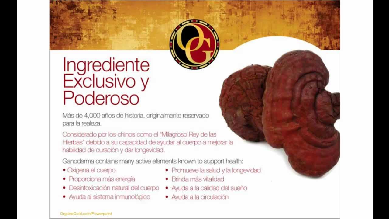 Presentacion OrGano Gold Basica Español - YouTube