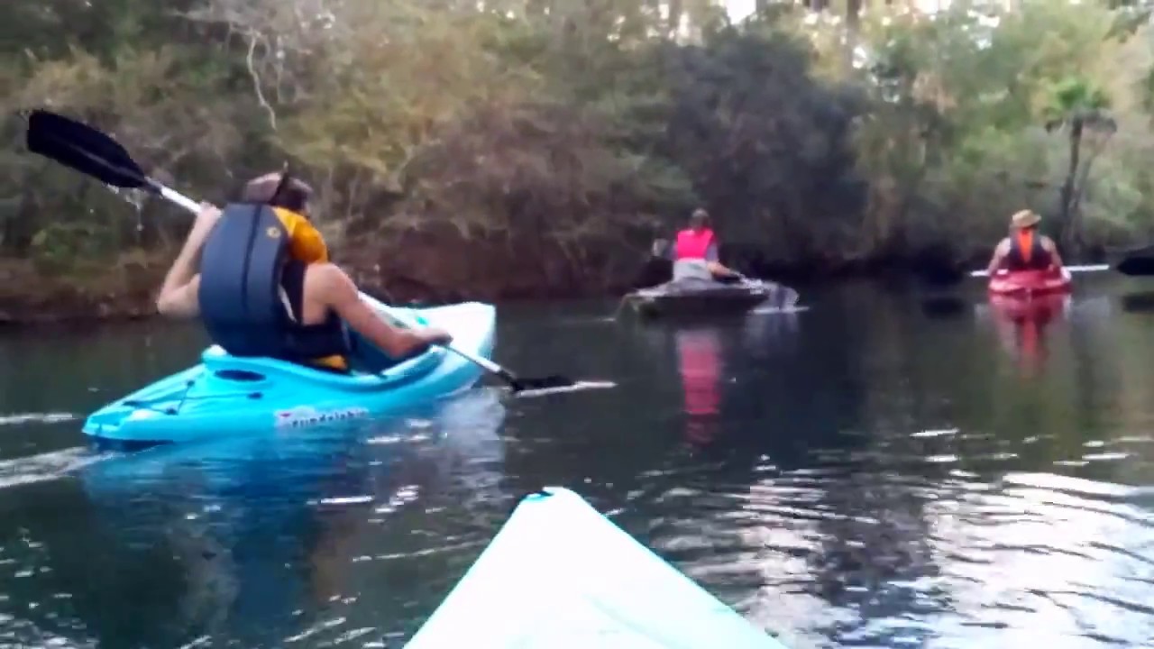 Kayaking the Econfina Springs in Florida - YouTube