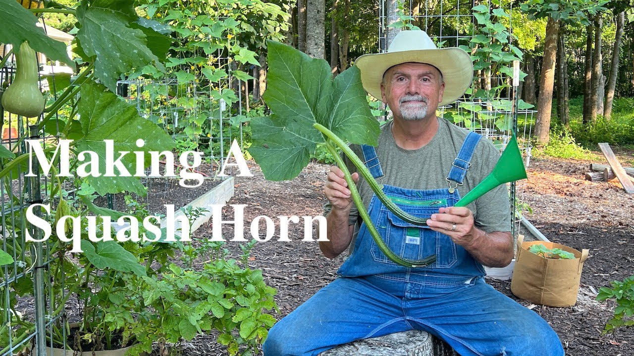 Making A Squash Horn: Music in Garden! - YouTube