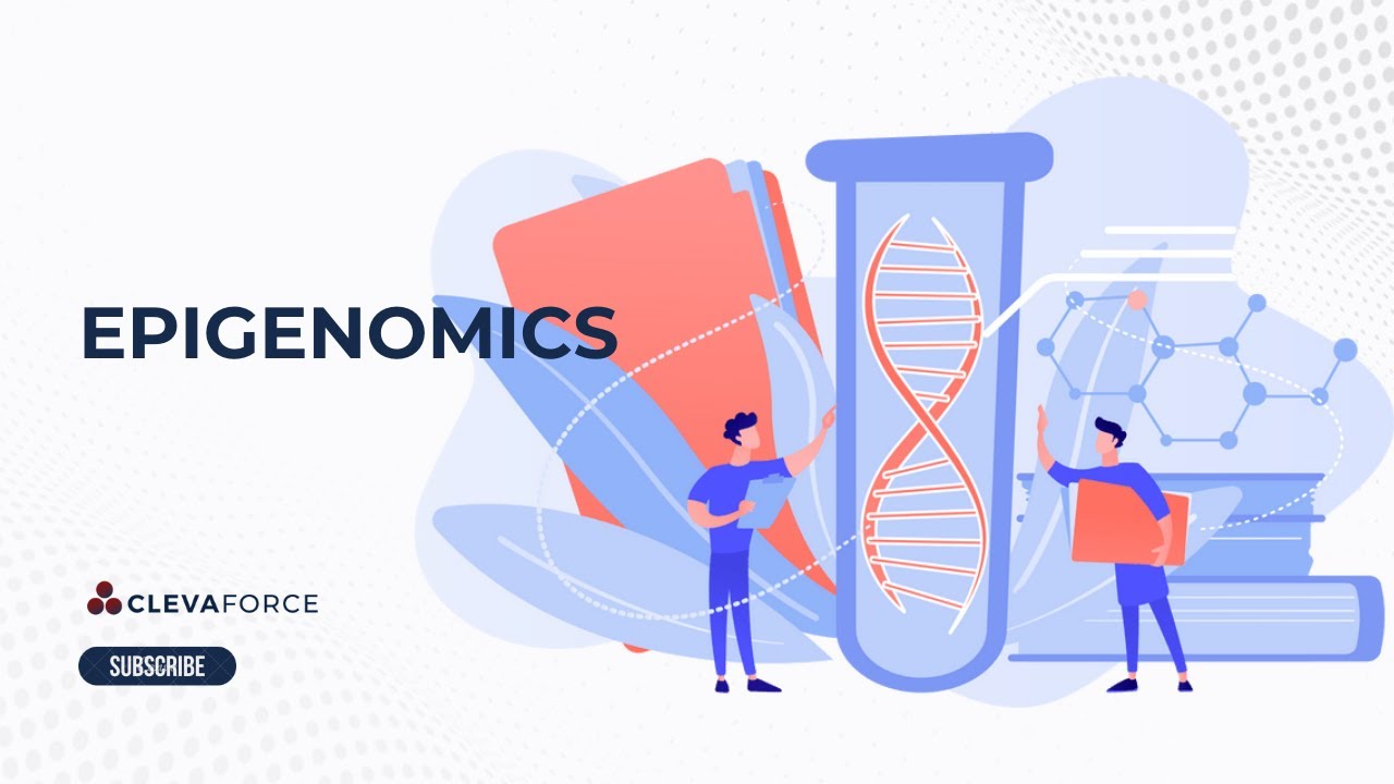 Epigenomics - YouTube