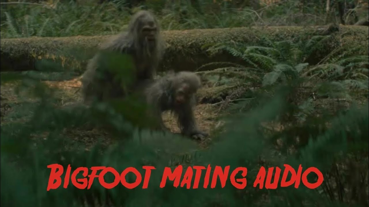 CRAZY AUDIO OF BIGFOOT MATING full video “SQAUTCHES DOING THE DEED ...