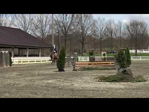 M&S Adult Amateur Hunter Classic at Four Seasons