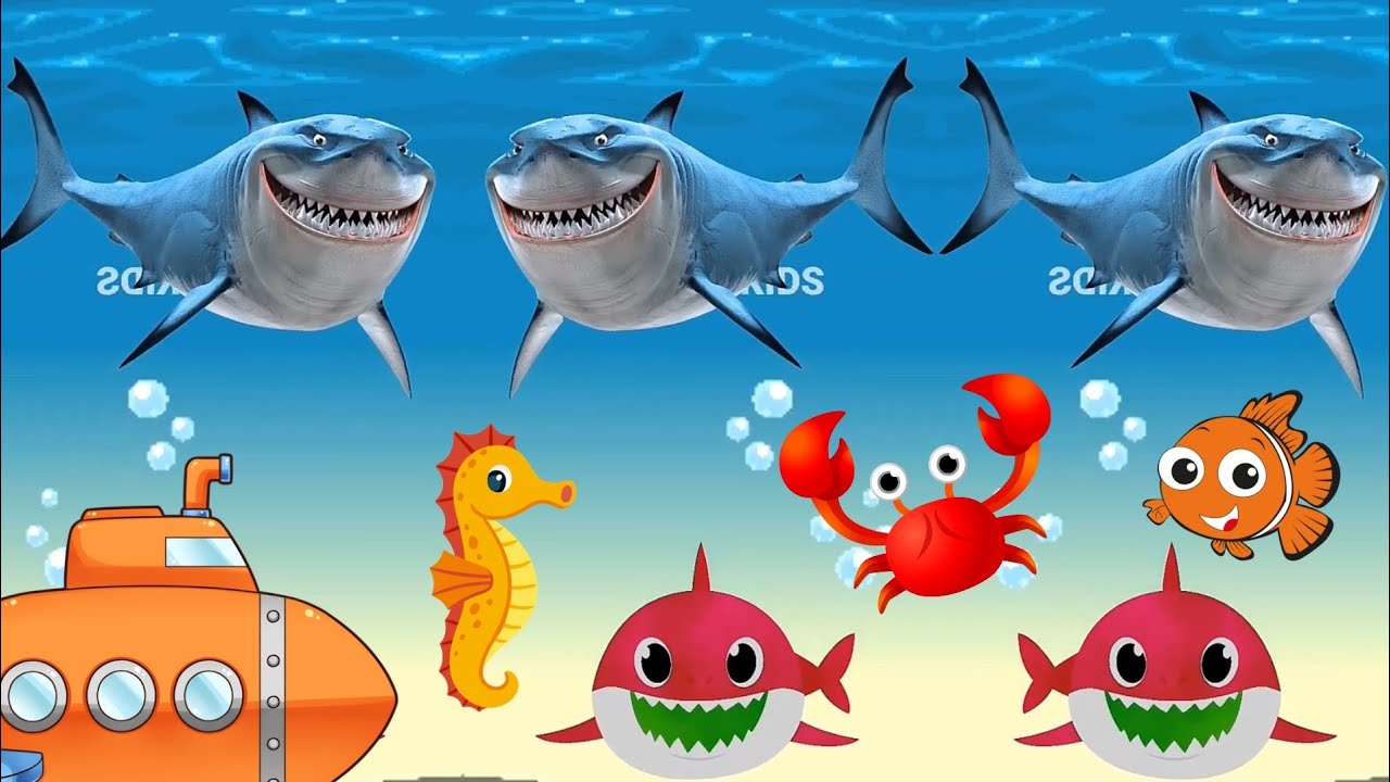 Little Shark kids with Dolphin octopus | Baby Shark Dance Song | Baby ...