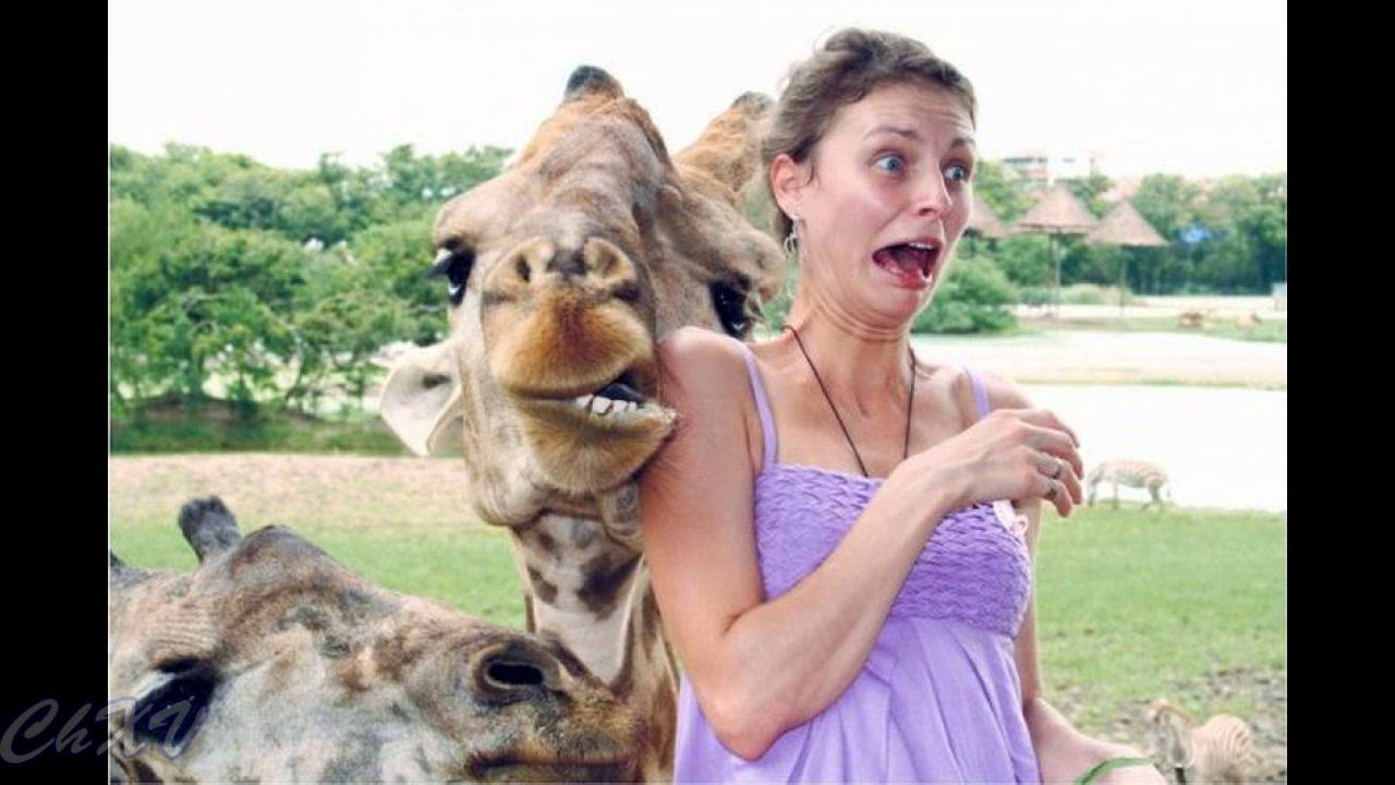 Best Funny Pics Compilation 2015 Ep. 2 - YouTube