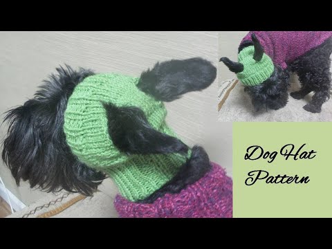 Knitted Dog Hat Pattern. [how to make a pet hat] tutorial} - YouTube